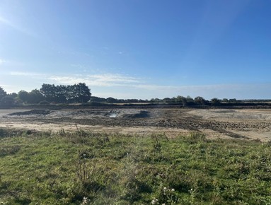 Sidlesham Ferry Pool and Fields – The Sussex Ornithological Society